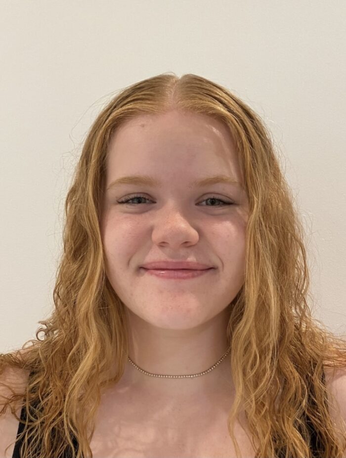 Practicum Reflection with Becky Turner – Narrative Art & Visual ...